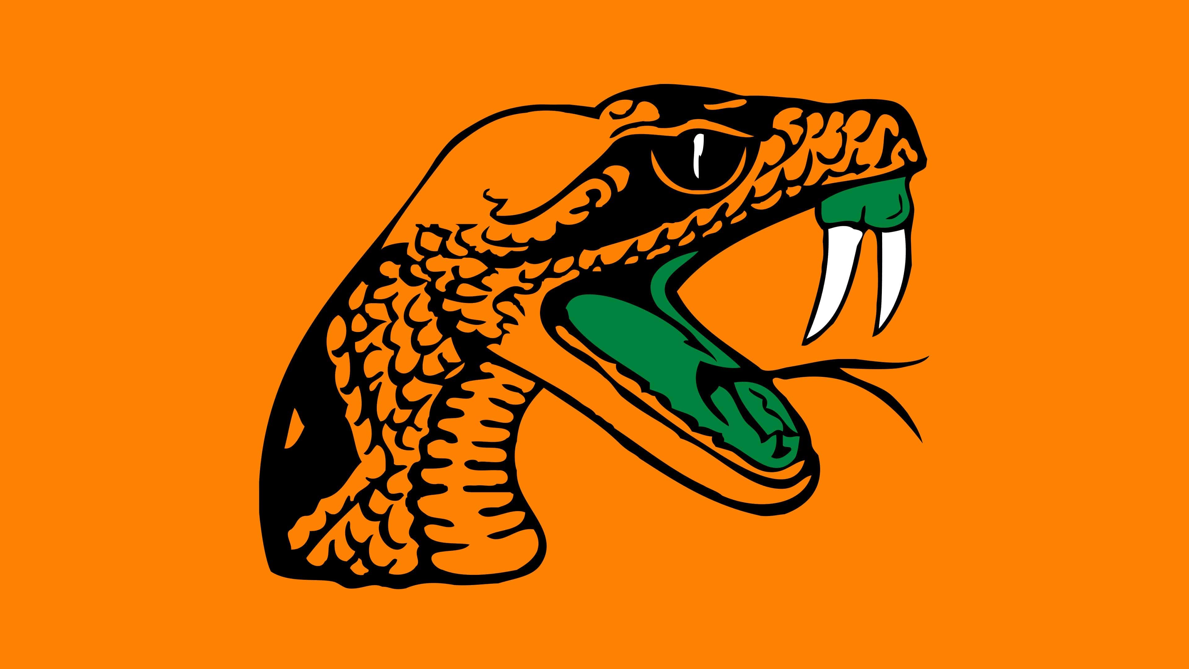 Famu Rattlers Svg