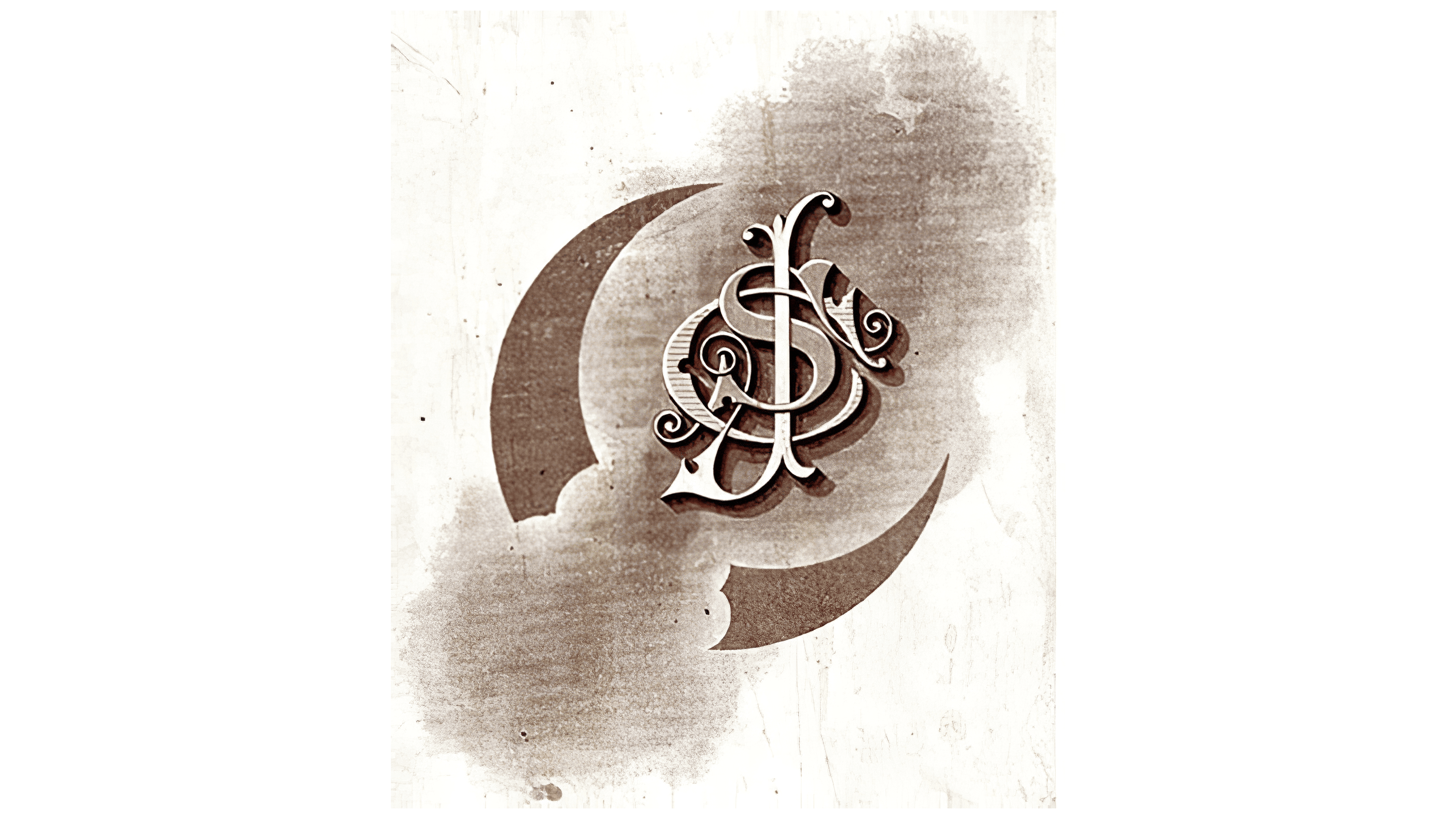 S C Johnson Logo Symbol Meaning History PNG Brand