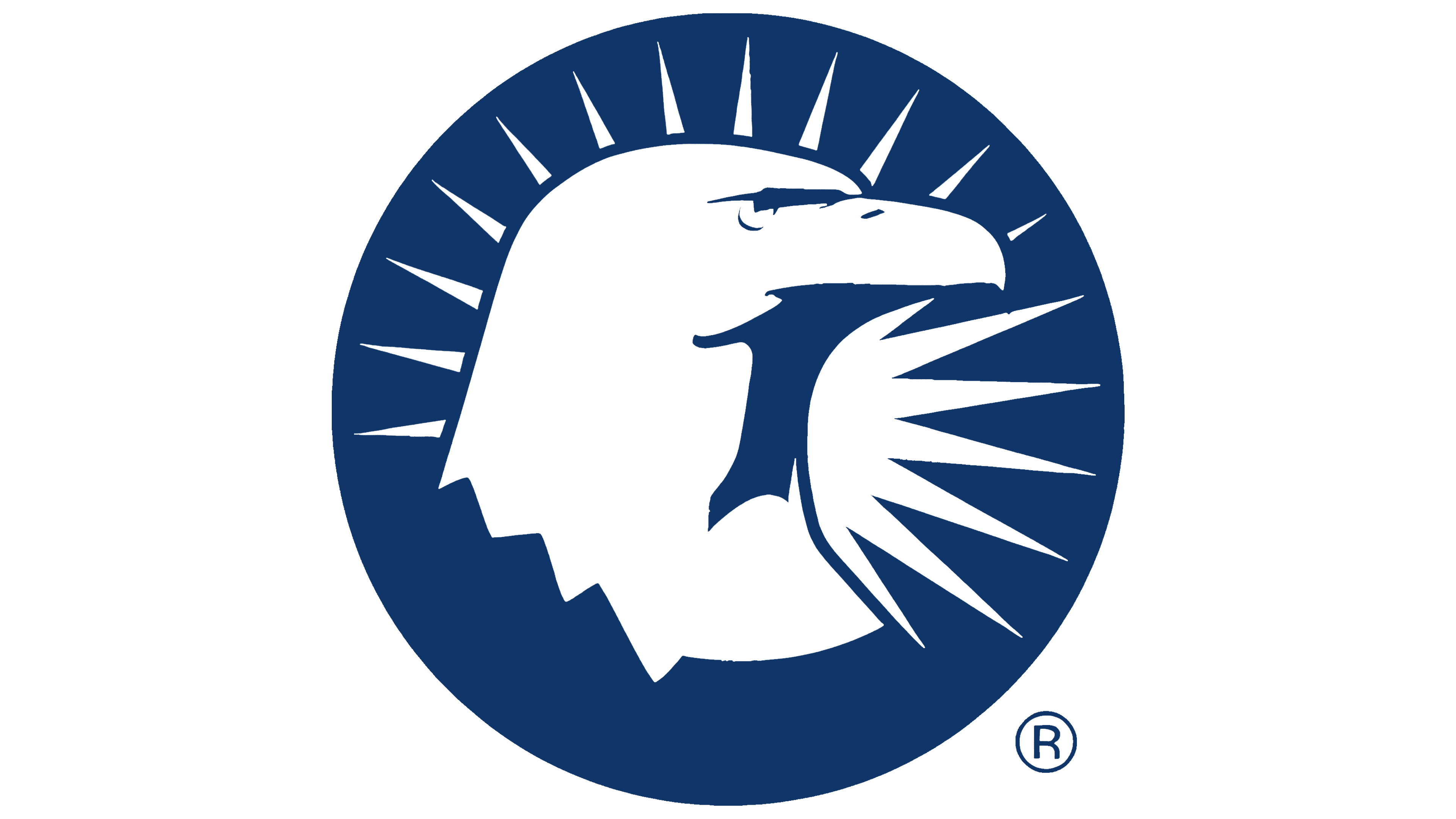 EAGLE Certification Group Logo, symbol, meaning, history, PNG, brand