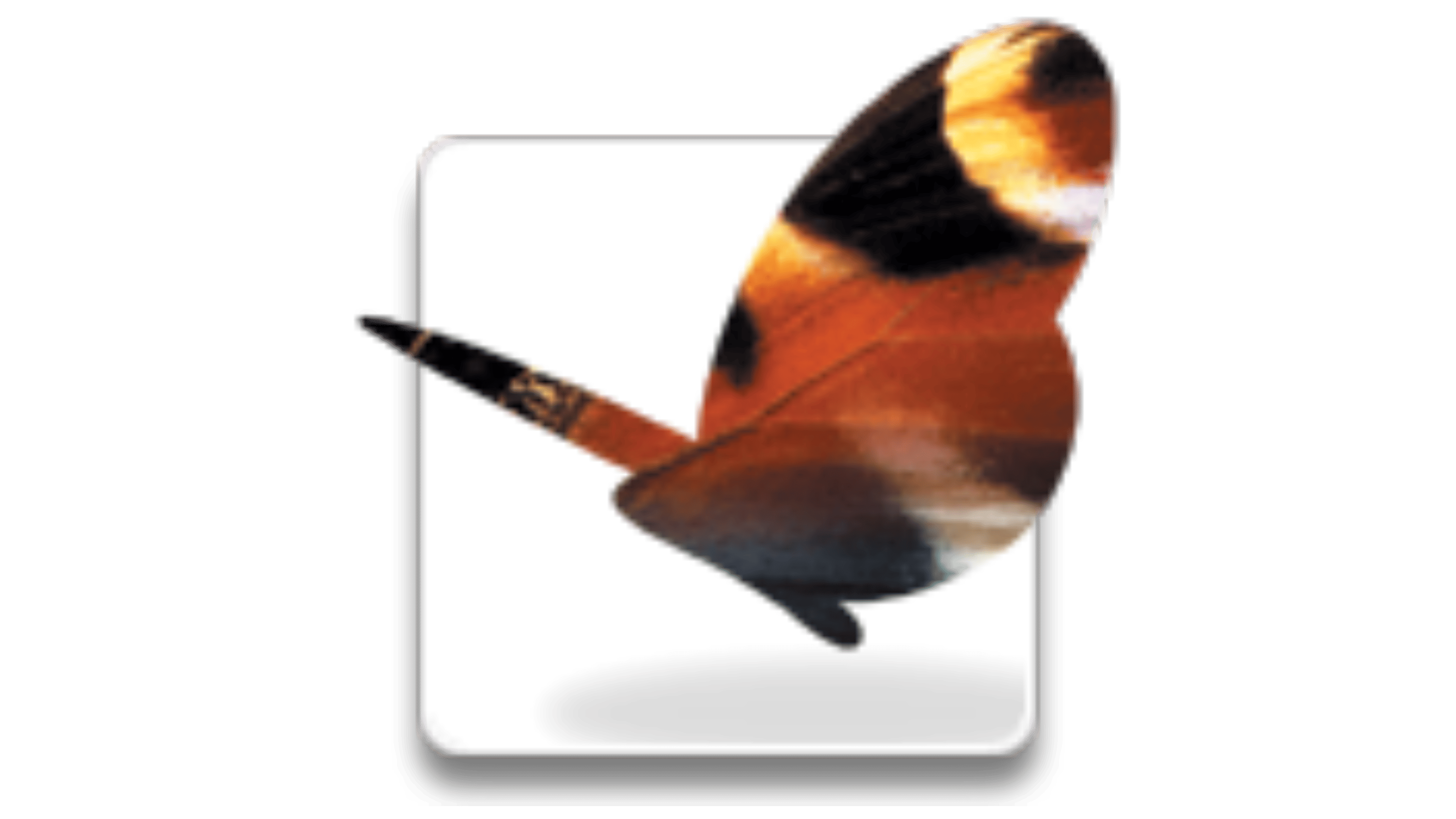 Adobe InDesign Logo, symbol, meaning, history, PNG, brand