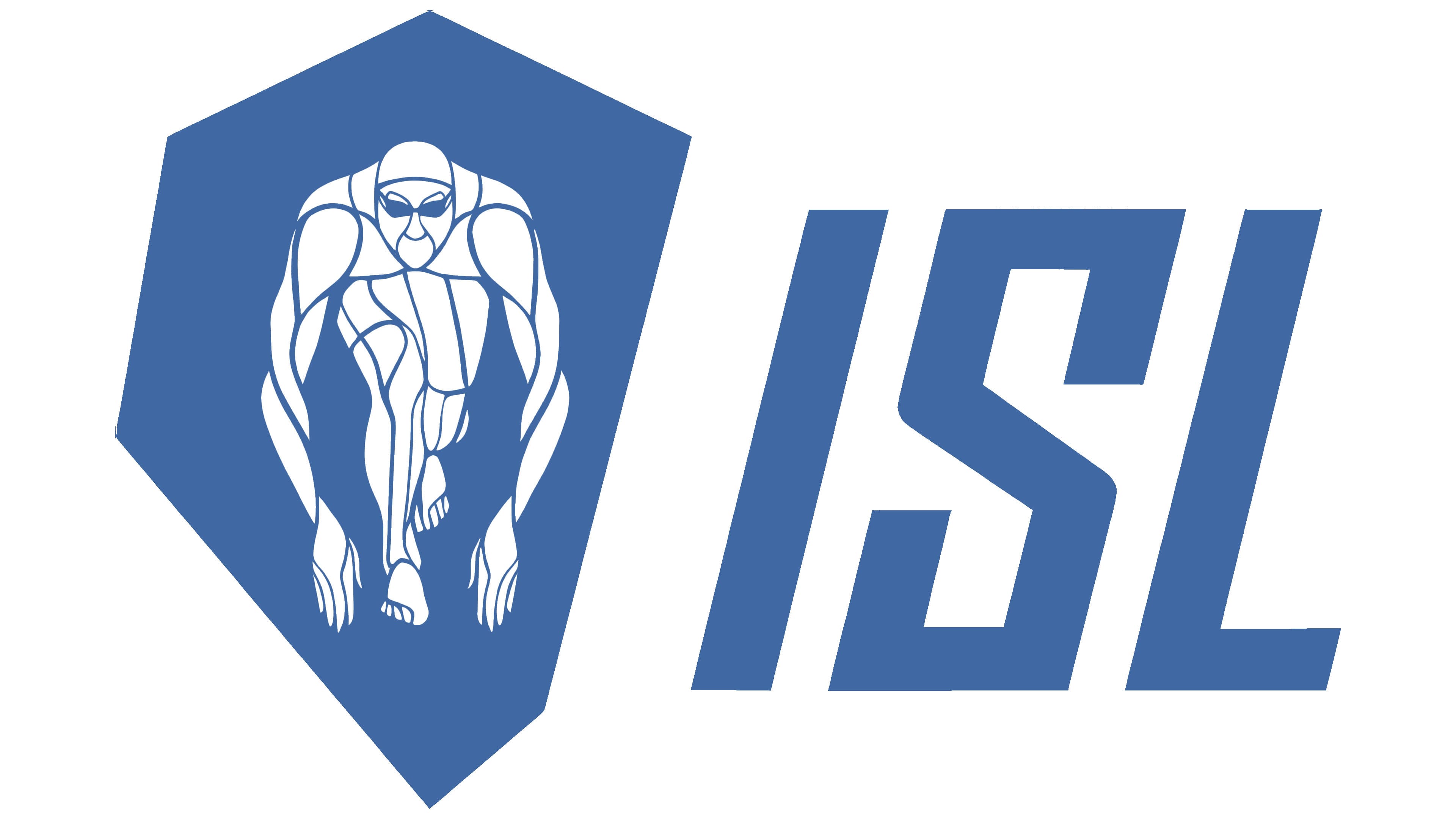 Most Famous Swimming Logos