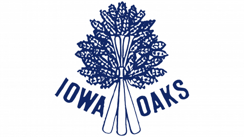 Iowa Cubs Logo, symbol, meaning, history, PNG, brand