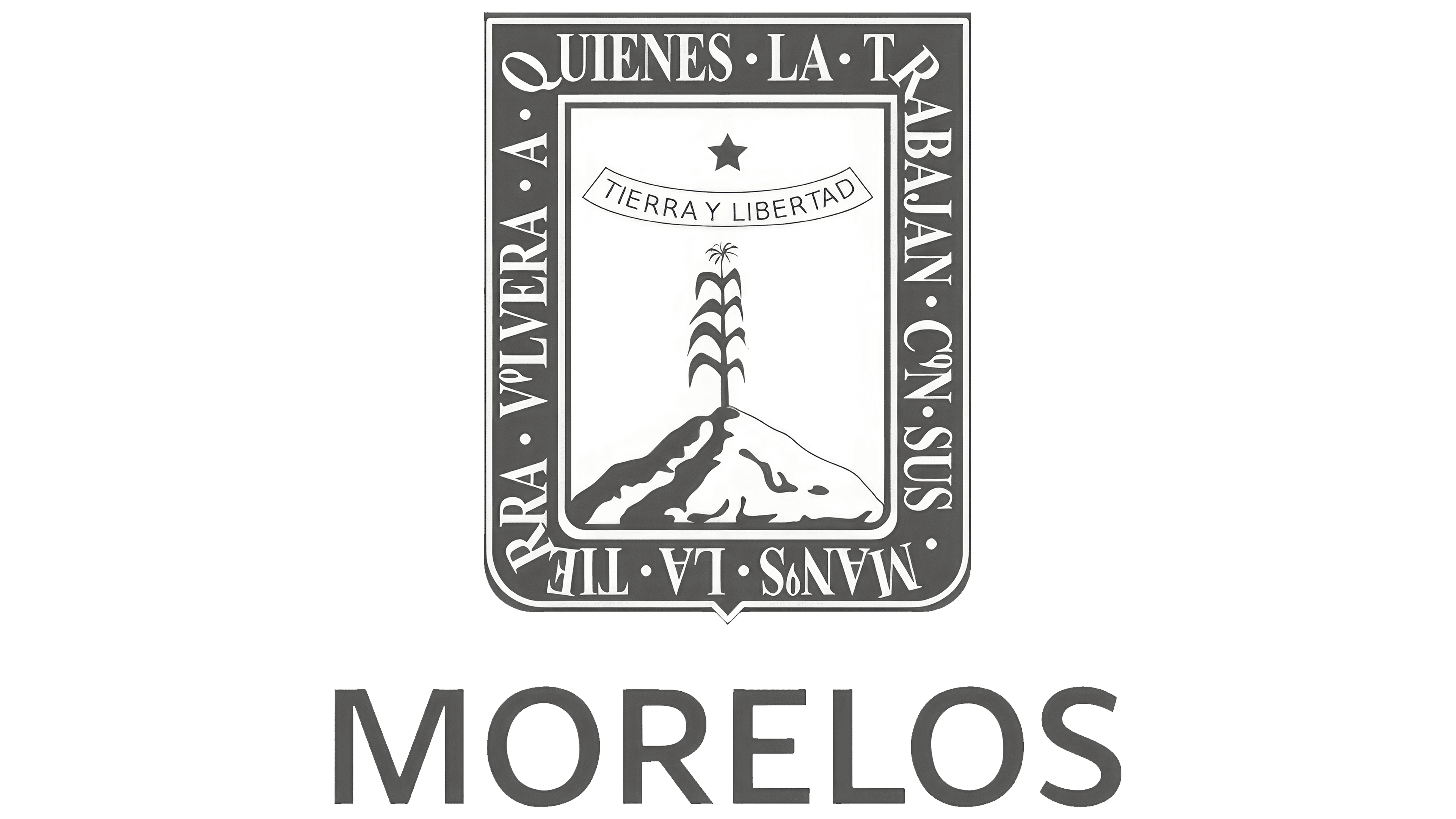 Morelos Unveils New Logo and Brand Identity