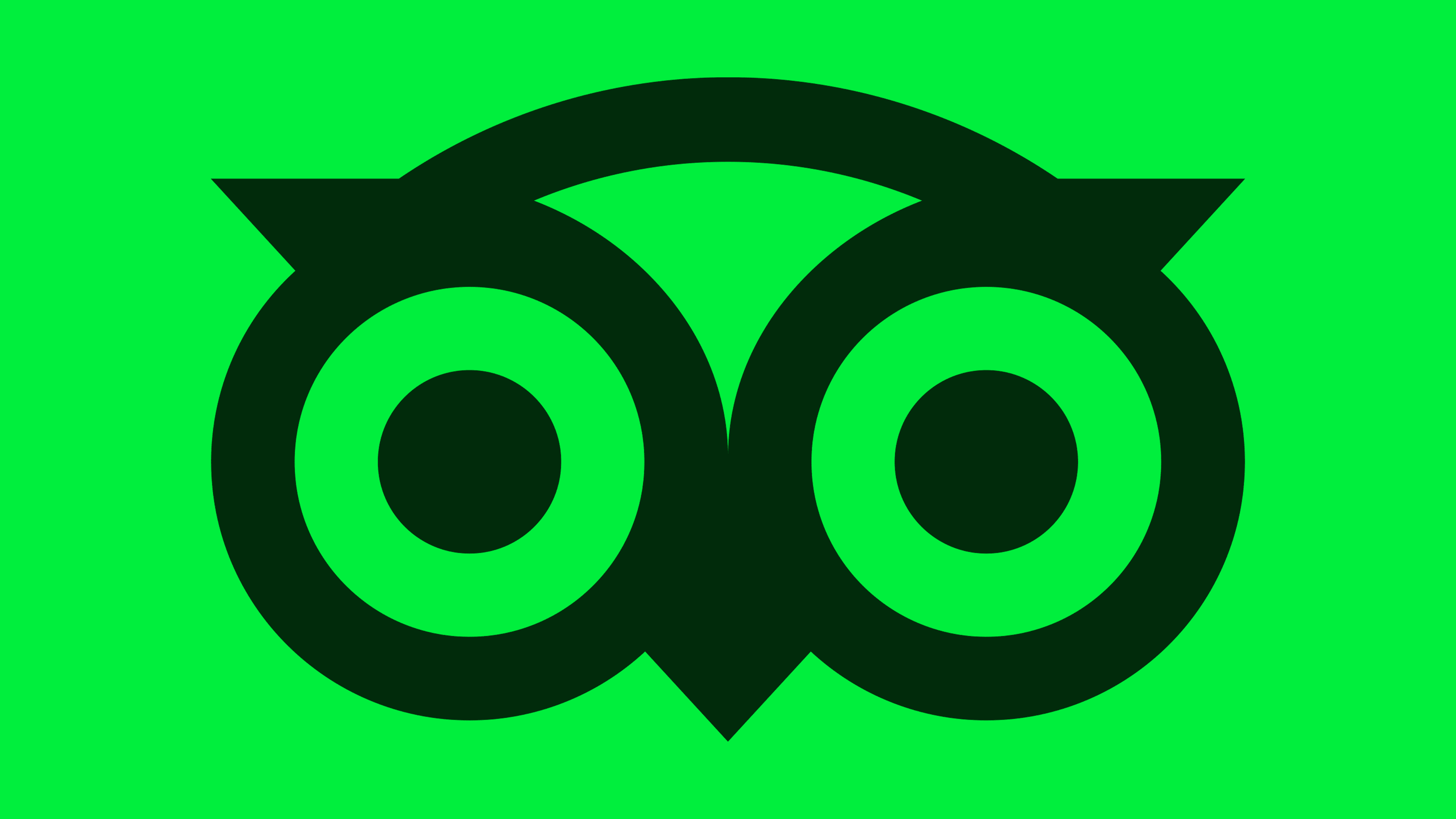 TripAdvisor Unveils New Logo and Brand Identity