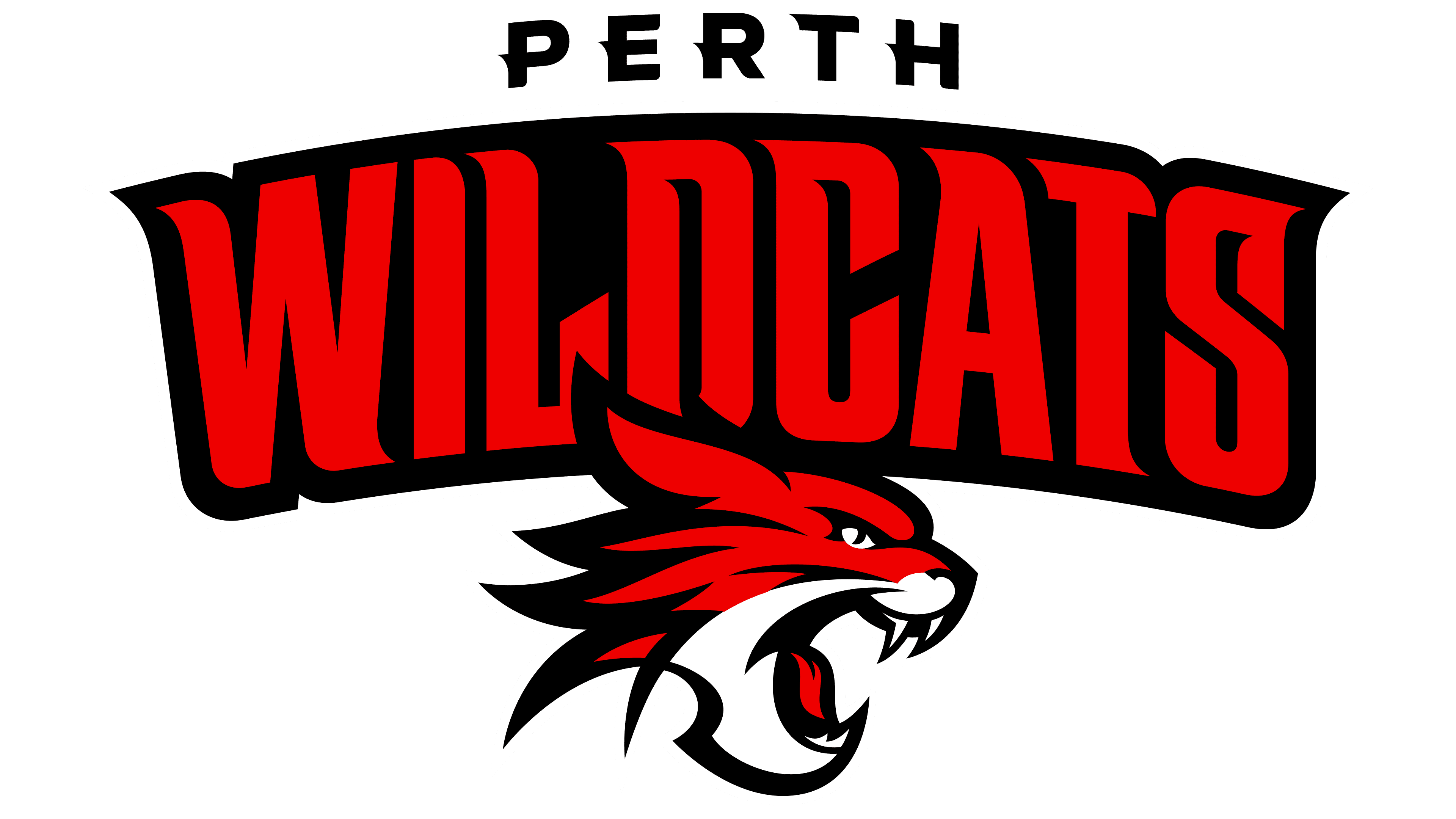 Perth Wildcats Unveils New Logo and Brand Identity
