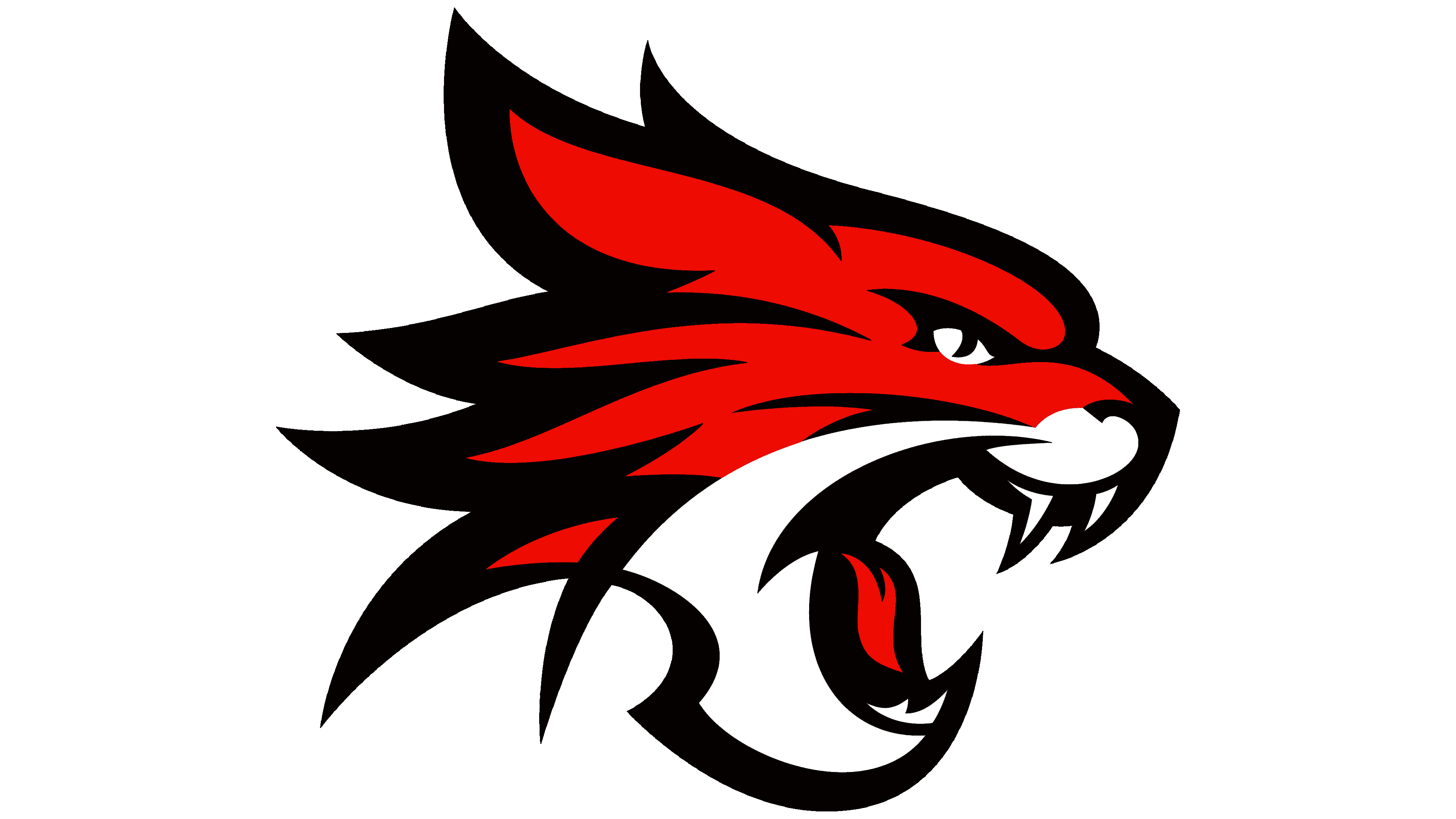 Perth Wildcats Unveils New Logo and Brand Identity