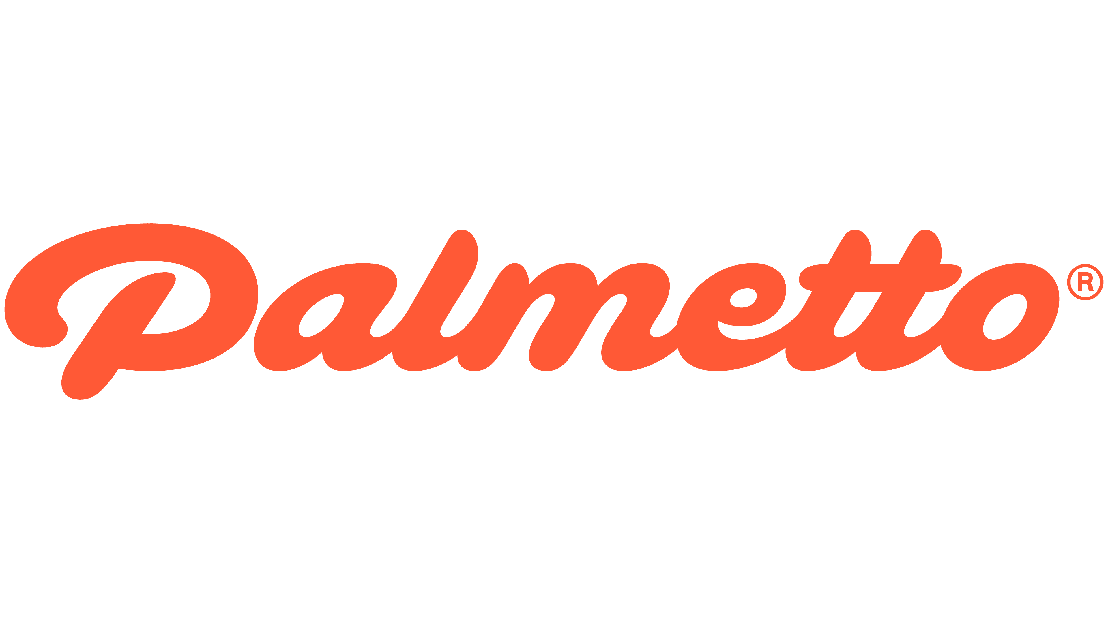 Palmetto Unveils New Logo and Brand Identity