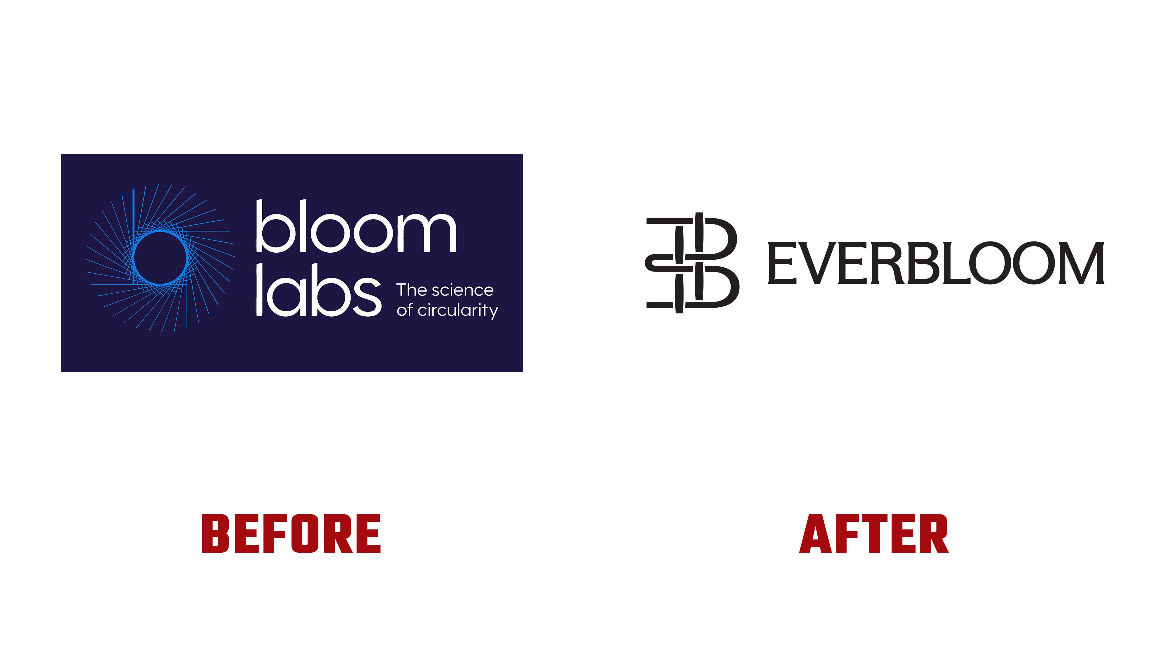 Everbloom Unveils New Logo and Brand Identity