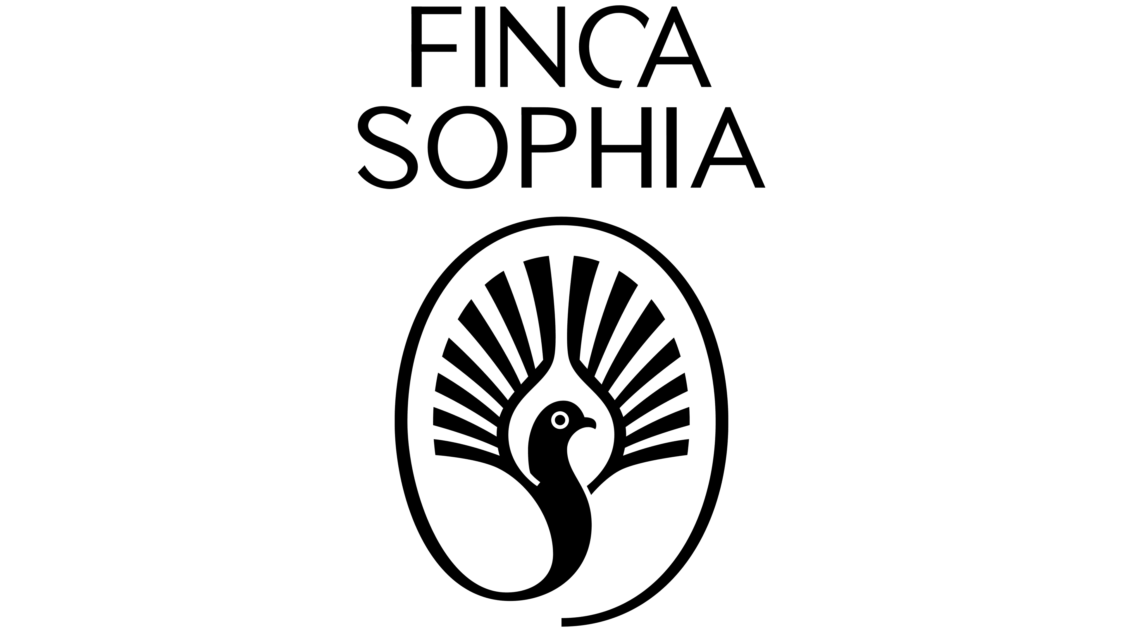 Finca Sophia Unveils New Logo and Brand Identity